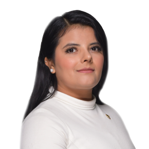 Comisión de Vigilancia del OSFEM