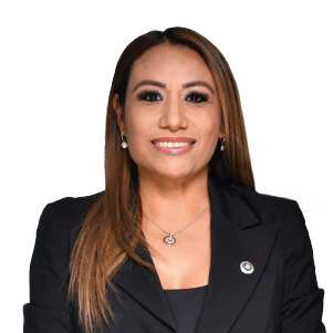 Comisión de Vigilancia del OSFEM